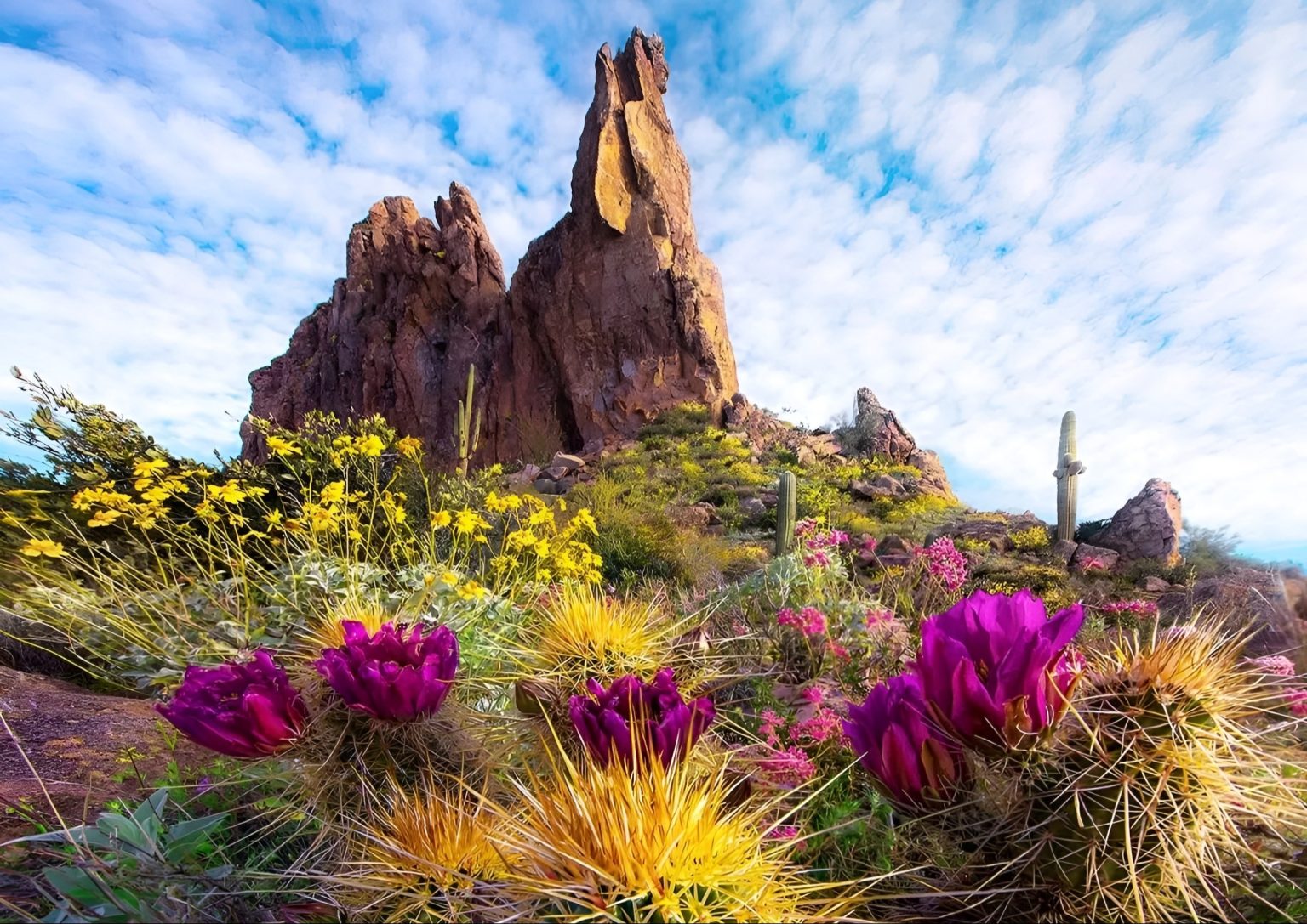 Essential Things to Know Before Moving to Phoenix, Arizona - NSA ...