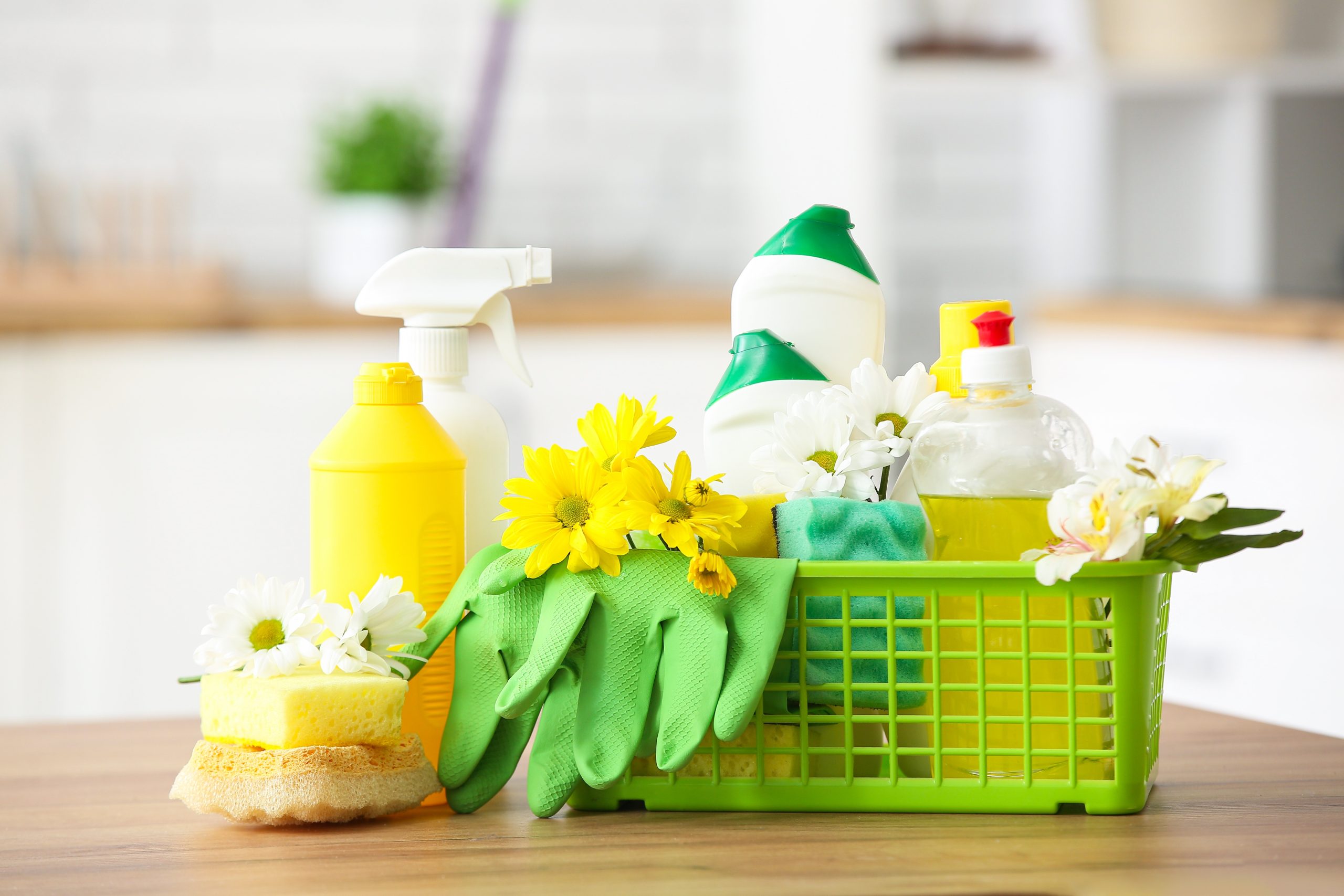 Top 8 Tips for Spring Cleaning - NSA Storage Blog